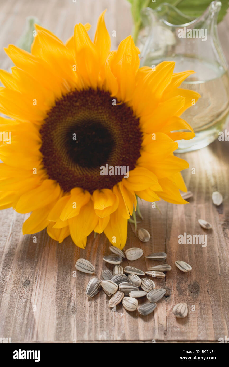 Sunflower, unshelled sunflower seeds and sunflower oil Stock Photo - Alamy