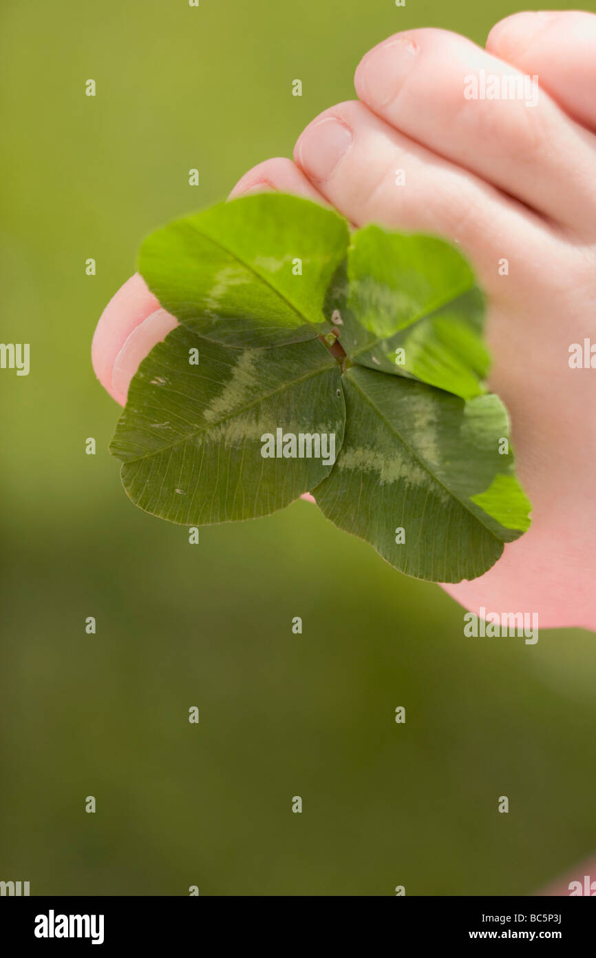 Clover leaves between someone's toes Stock Photo - Alamy