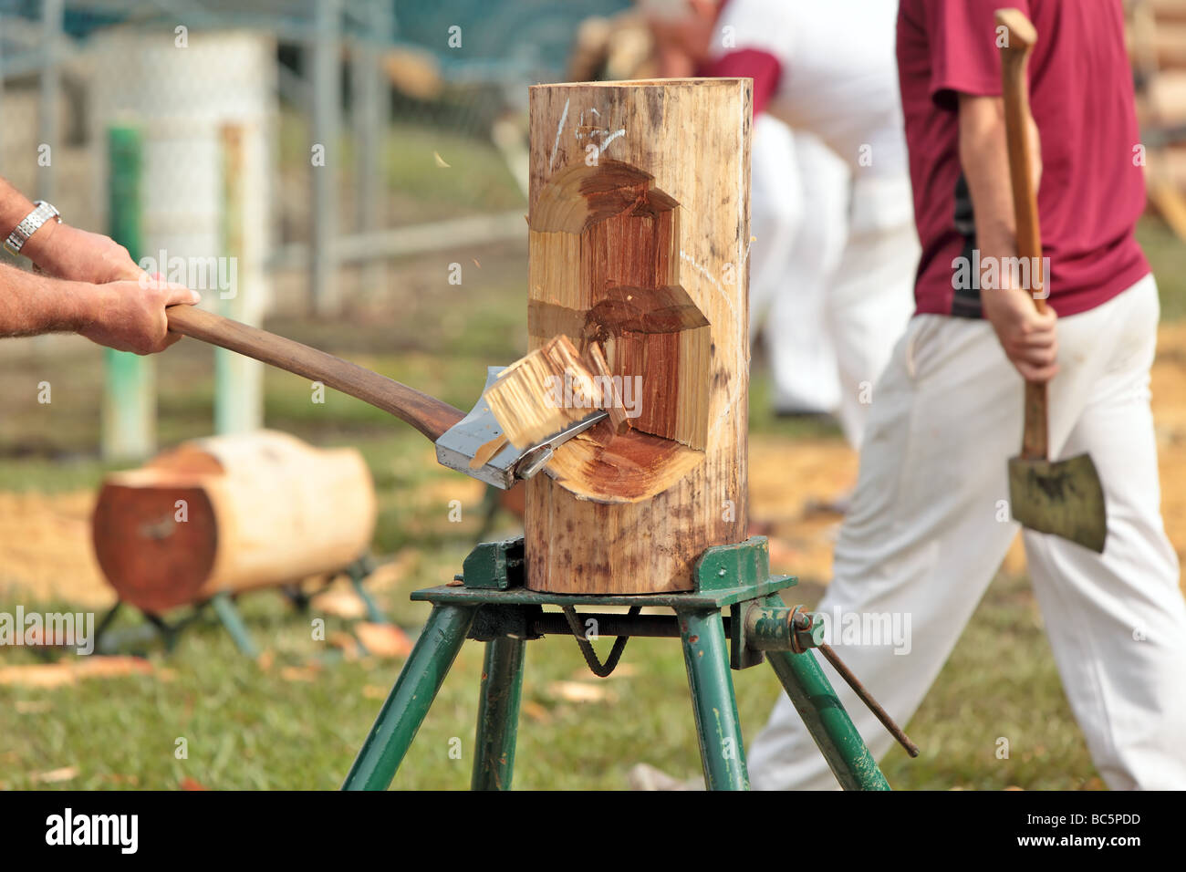 wood chopping competition with axemen in standing and upright ...