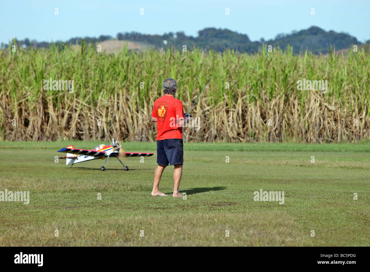 Radio controlled aeroplane being flown near a sugar cane plantation ...