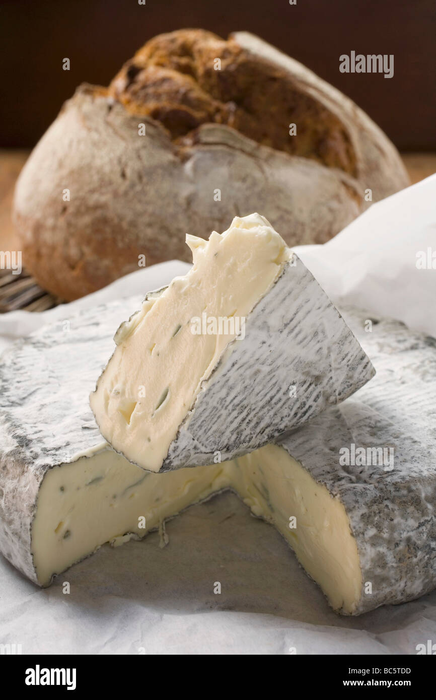 Blue cheese (Bresse Bleu, France) and bread Stock Photo - Alamy