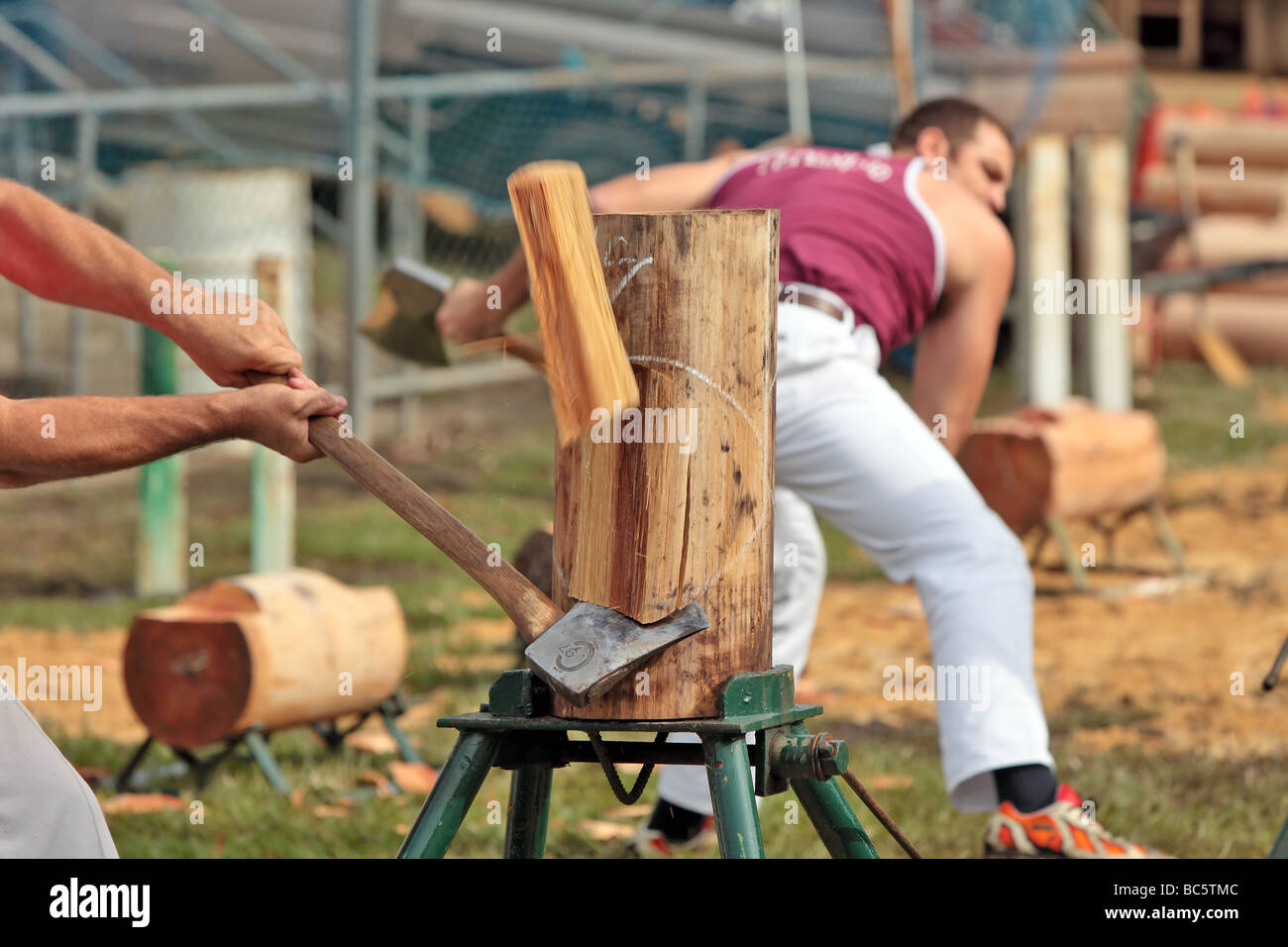 wood chopping competition with axemen in standing and upright ...