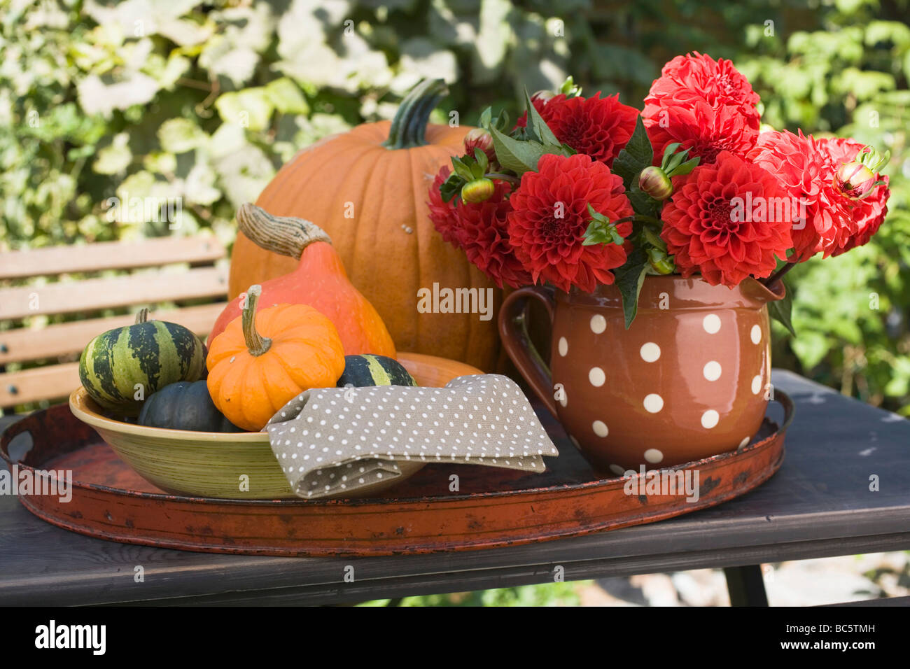 Squashes, pumpkins and flowers on table in the open air Stock Photo - Alamy