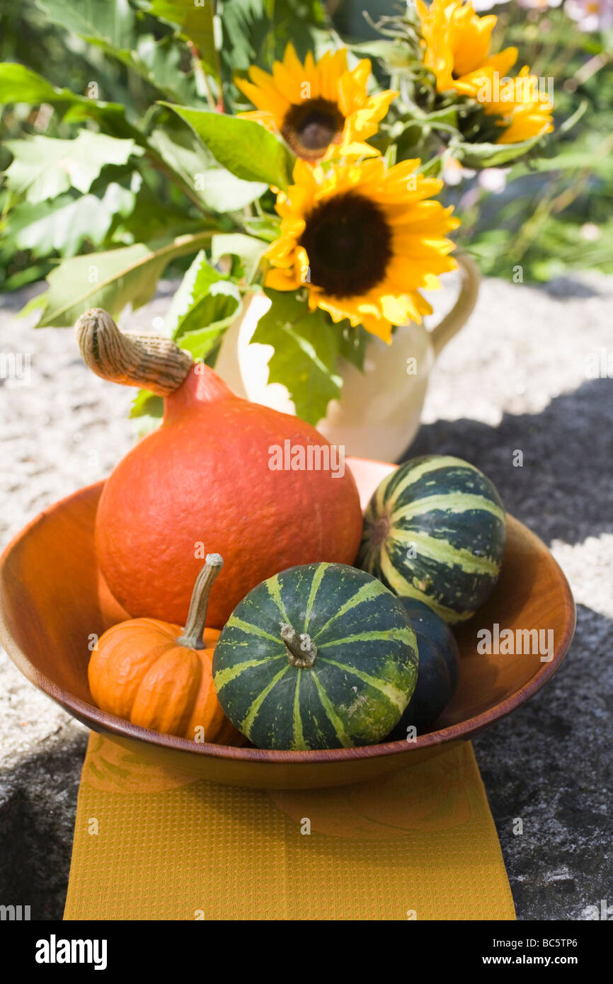 Assorted squashes in bowl and sunflowers in the open air Stock Photo ...