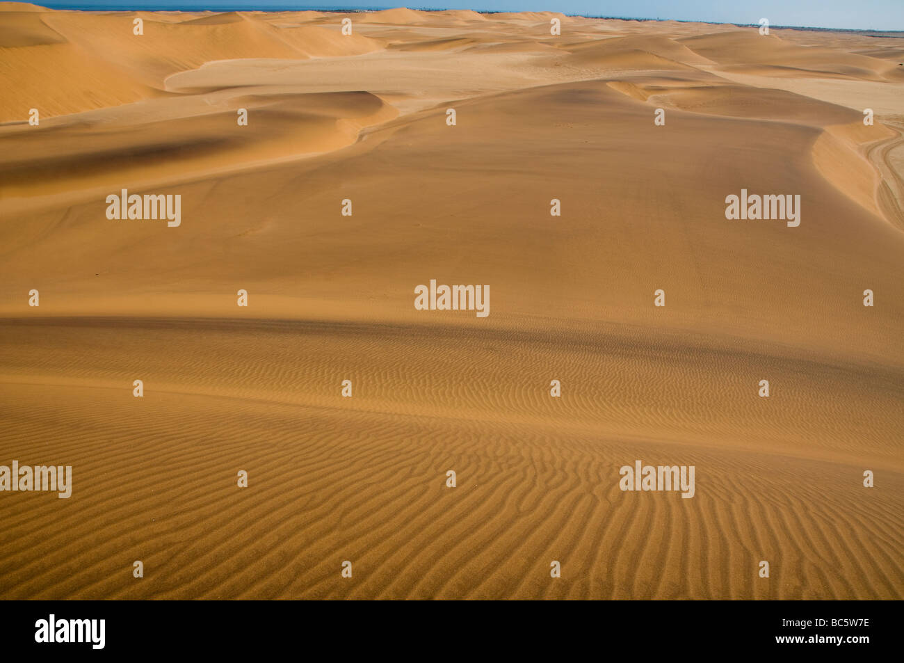 beautiful sand dunes of the Skeleton Coast in the Namib Naukluft Desert ...