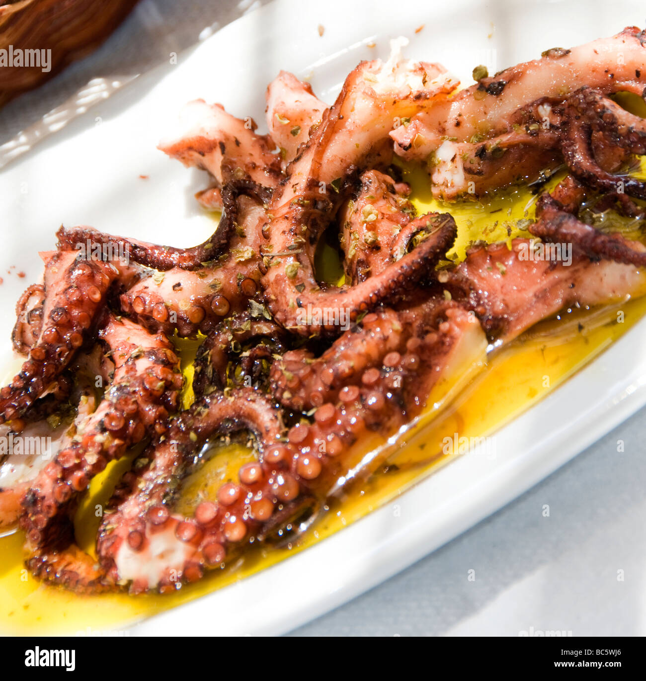 greek island taverna restaurant specialty of marinated grilled octopus ...