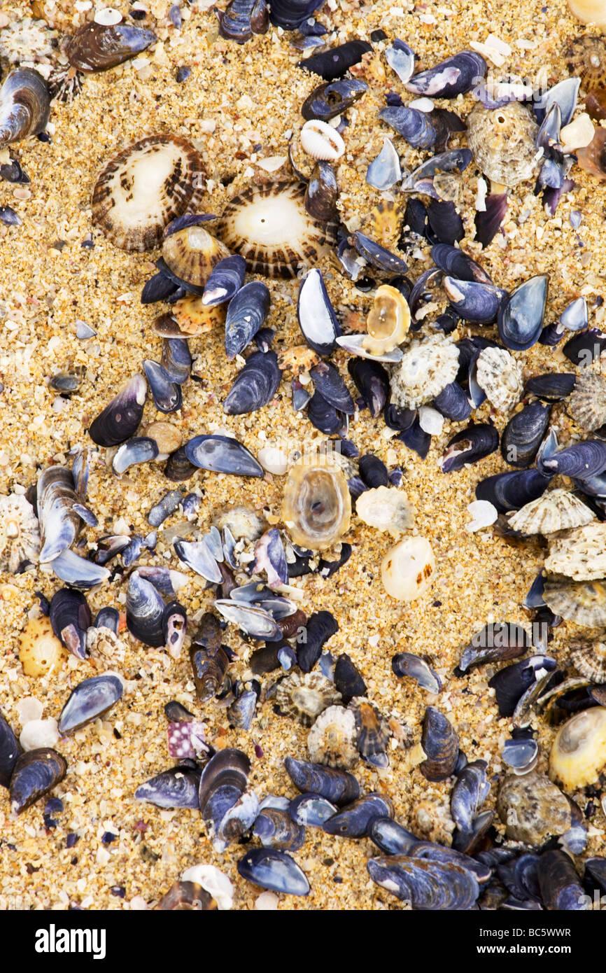Harris beach scotland hi-res stock photography and images - Alamy