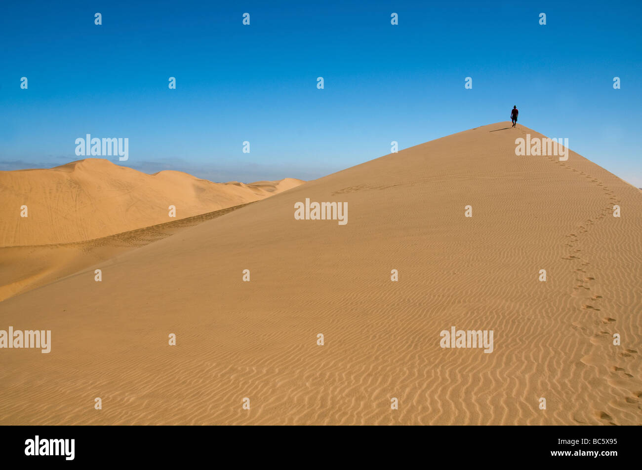 beautiful sand dunes of the Skeleton Coast in the Namib Naukluft Desert ...