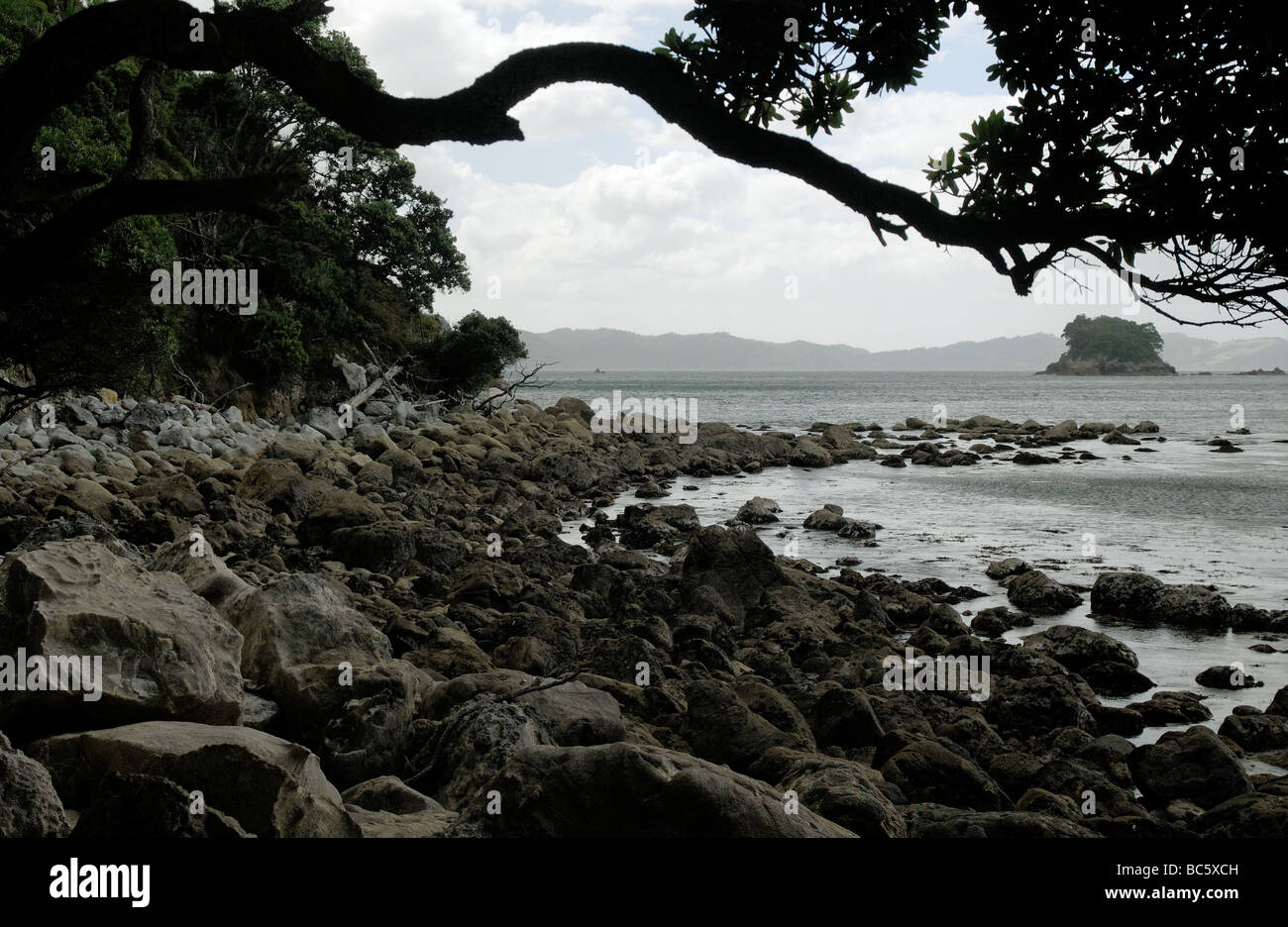 Landscape, West Coast of the Coromandel, New Zealand Stock Photo - Alamy