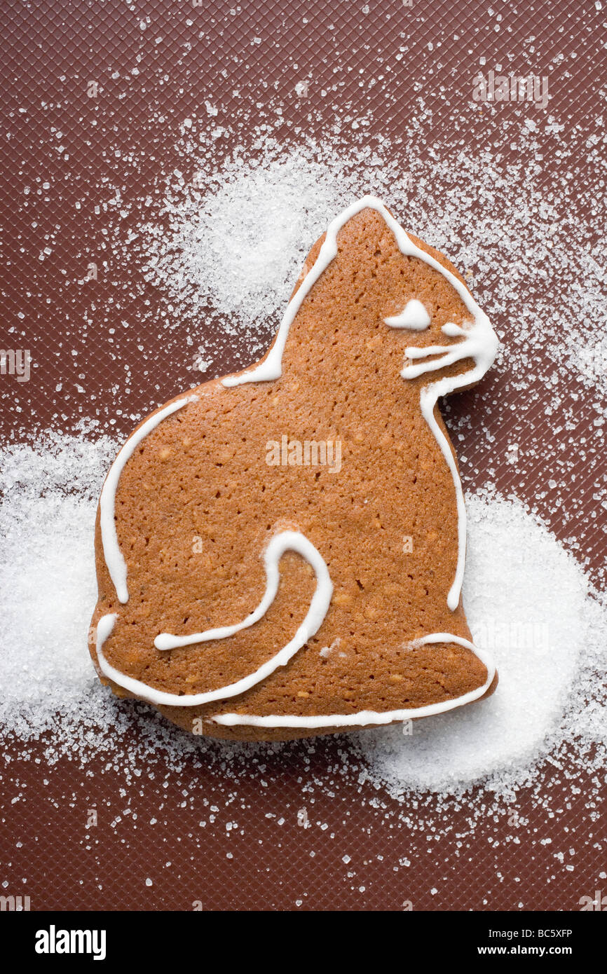 A gingerbread cat Stock Photo - Alamy