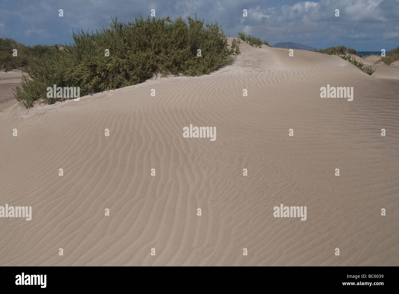 Spain, Lanzarote, El Jable, Desert dunes Stock Photo - Alamy