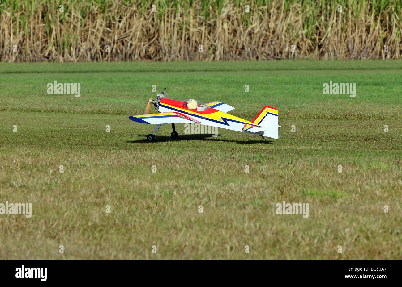 Radio controlled aeroplane being flown near a sugar cane plantation ...