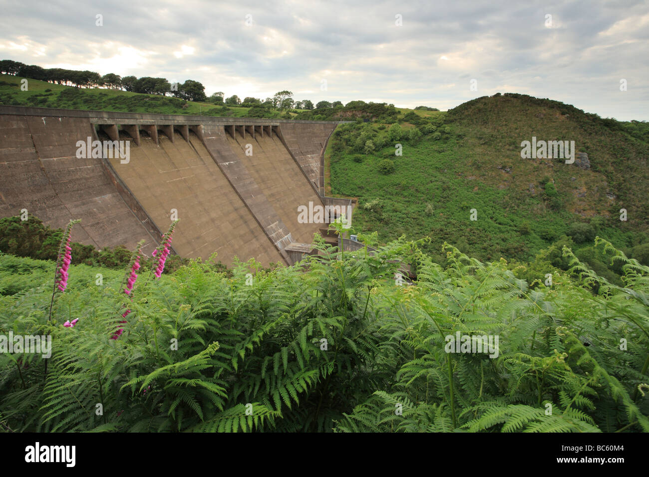 Meldon Reservoir near Okehampton, Dartmoor, Devon, England, UK Stock ...