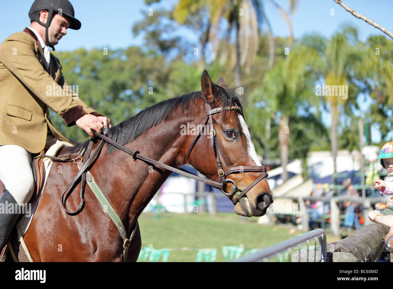 Horse show jumping hi-res stock photography and images - Alamy