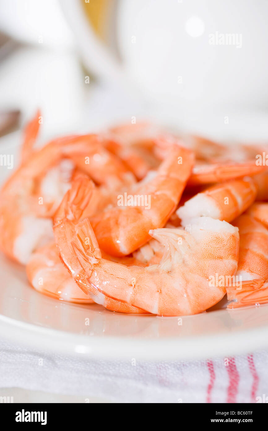 Cooked king prawns on plate Stock Photo - Alamy