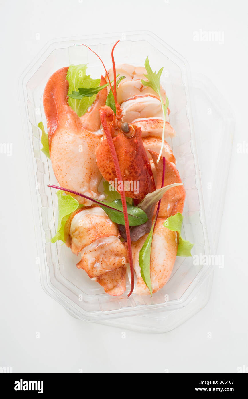 Cooked lobster in plastic container Stock Photo - Alamy