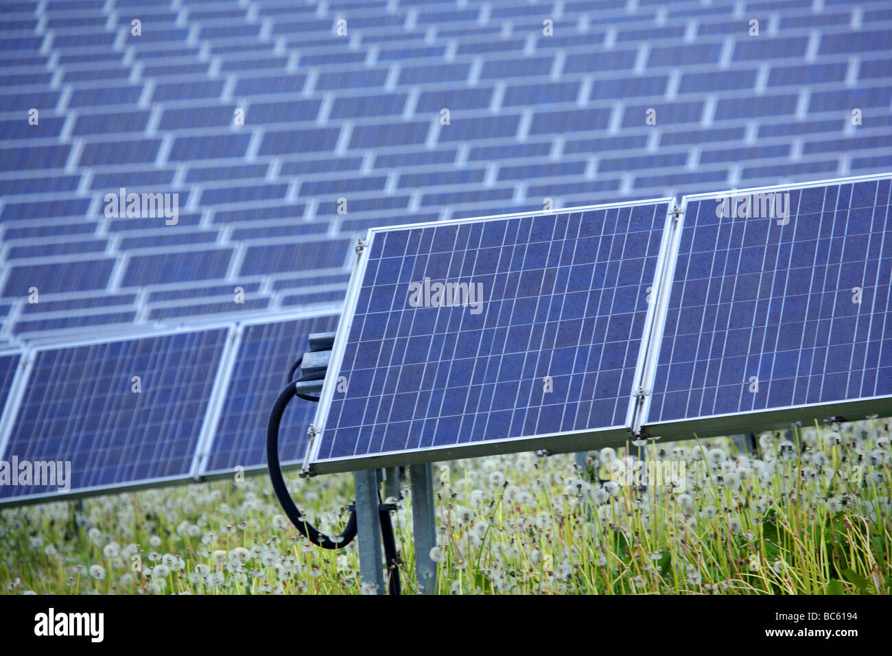 Solar panels in field Stock Photo - Alamy