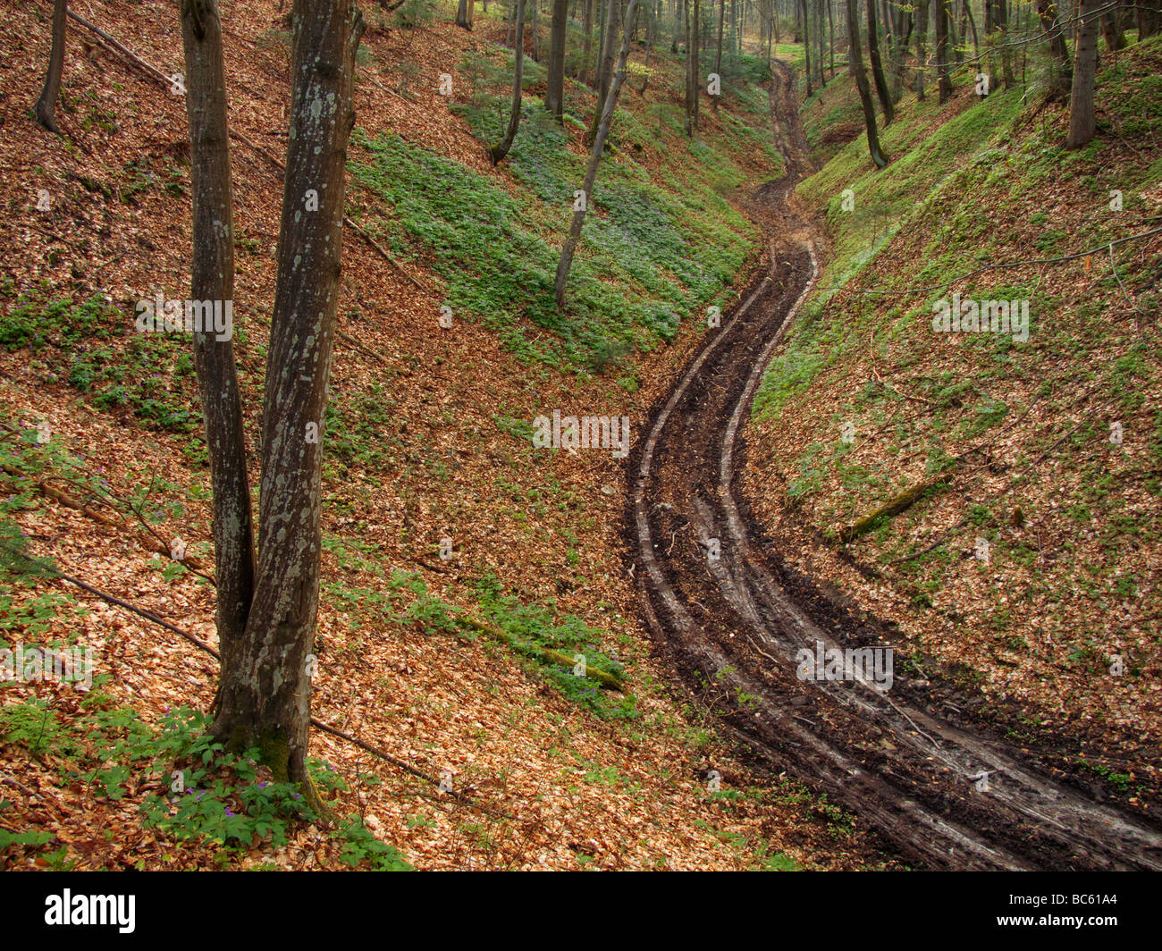 The loess hi-res stock photography and images - Alamy