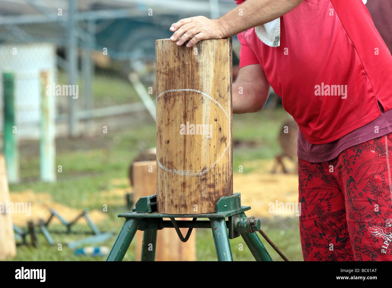 wood chopping competition with axemen in standing and upright ...