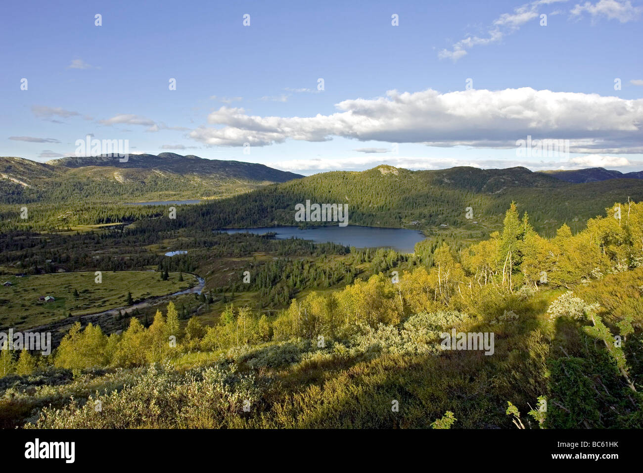 Lifjell mountain hi-res stock photography and images - Alamy