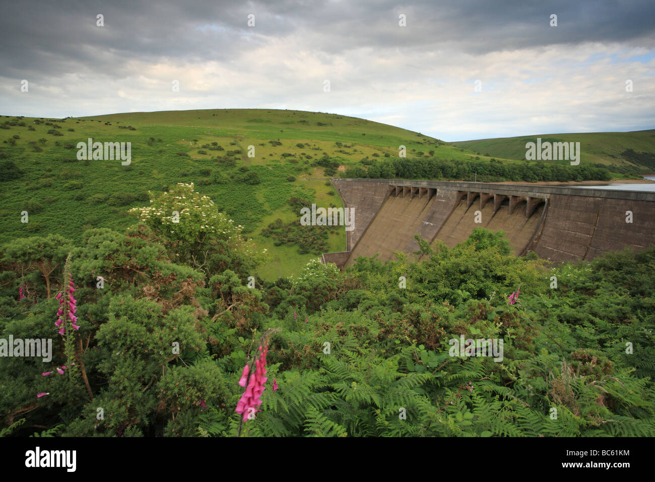Meldon reservoir hi-res stock photography and images - Alamy