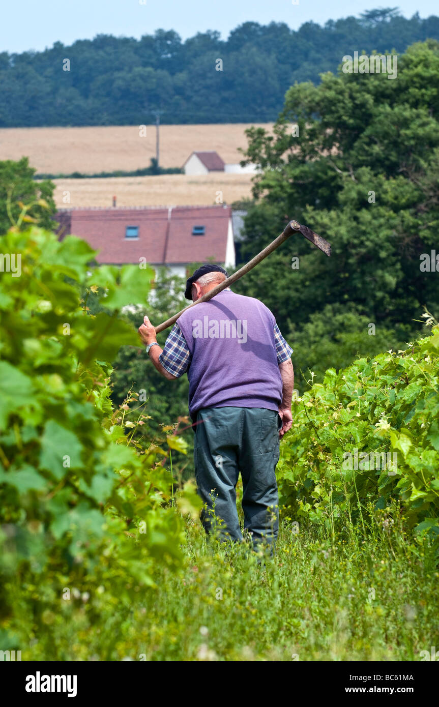 Old man hoe weeding in hi-res stock photography and images - Alamy