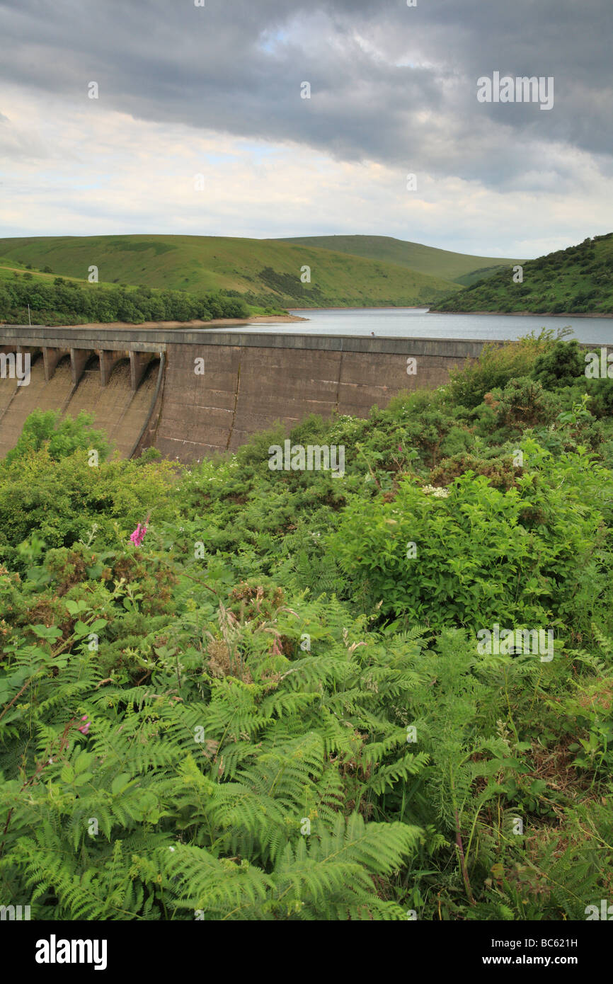 Meldon Reservoir near Okehampton, Dartmoor, Devon, England, UK Stock ...