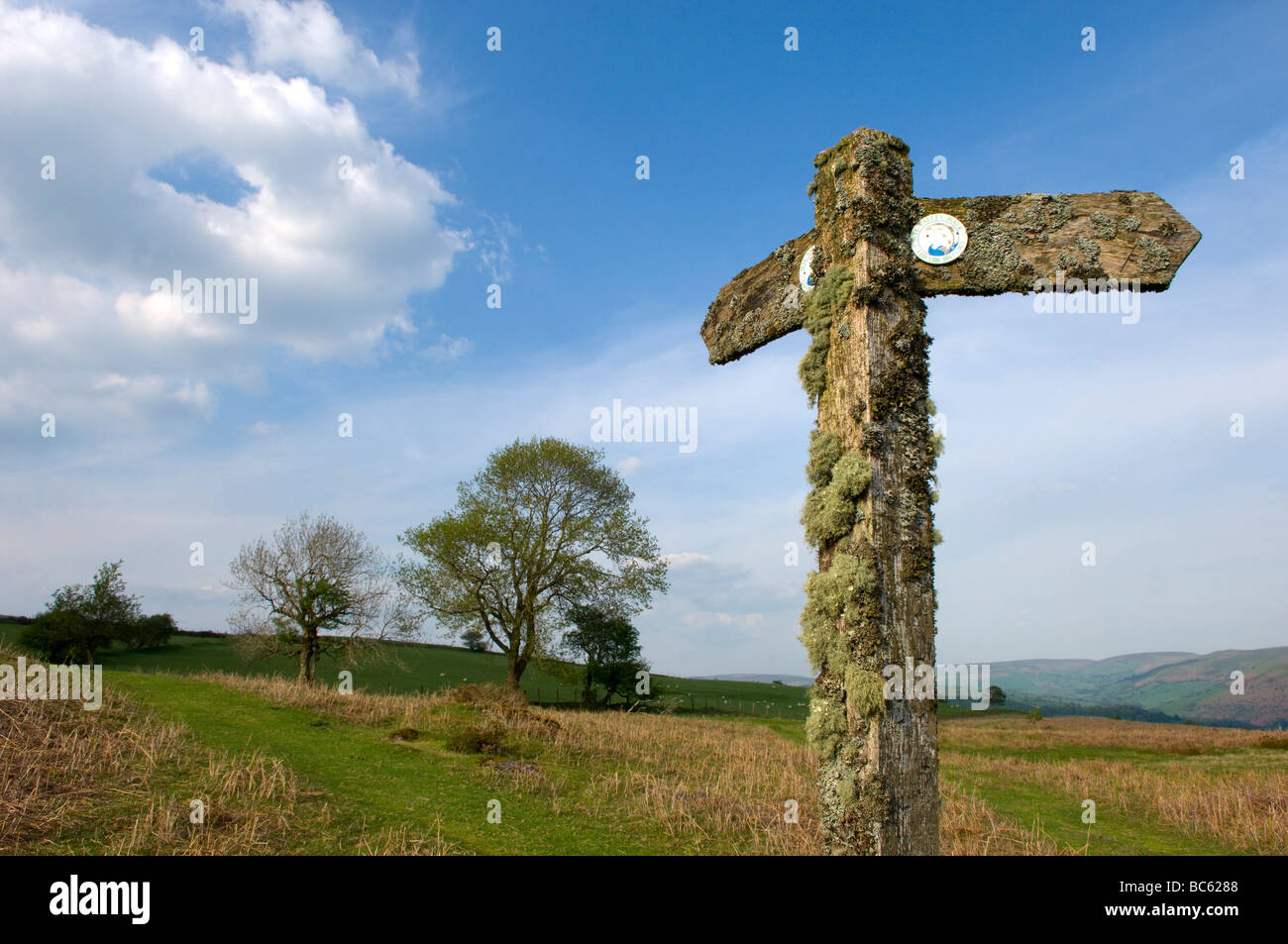 Symbols symbol wales hi-res stock photography and images - Alamy