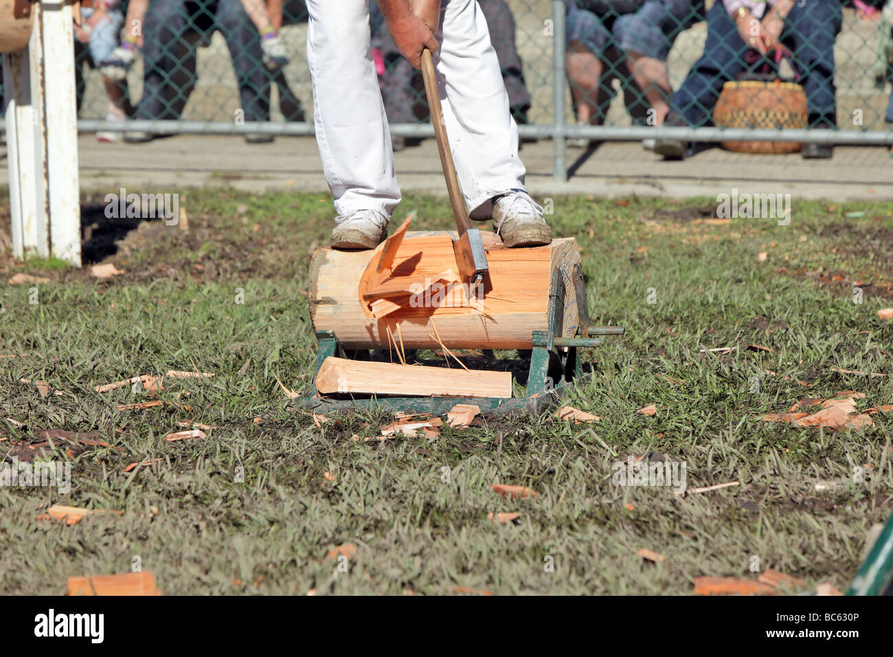 wood chopping competition with axemen in standing and upright ...