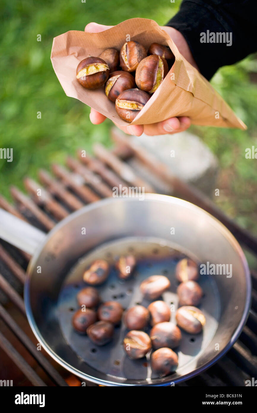 Hand holding roasted chestnuts in paper bag Stock Photo - Alamy