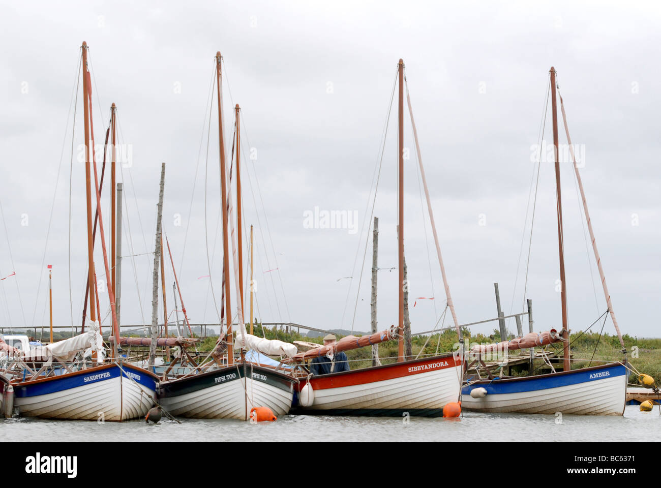 Sailing boats river cruisers hi-res stock photography and images - Alamy