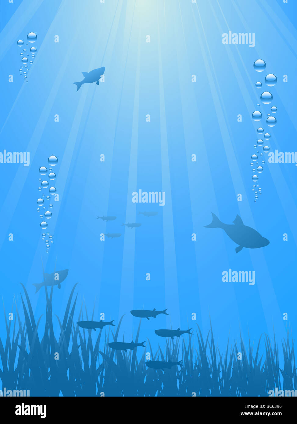 Fish among reeds hi-res stock photography and images - Alamy