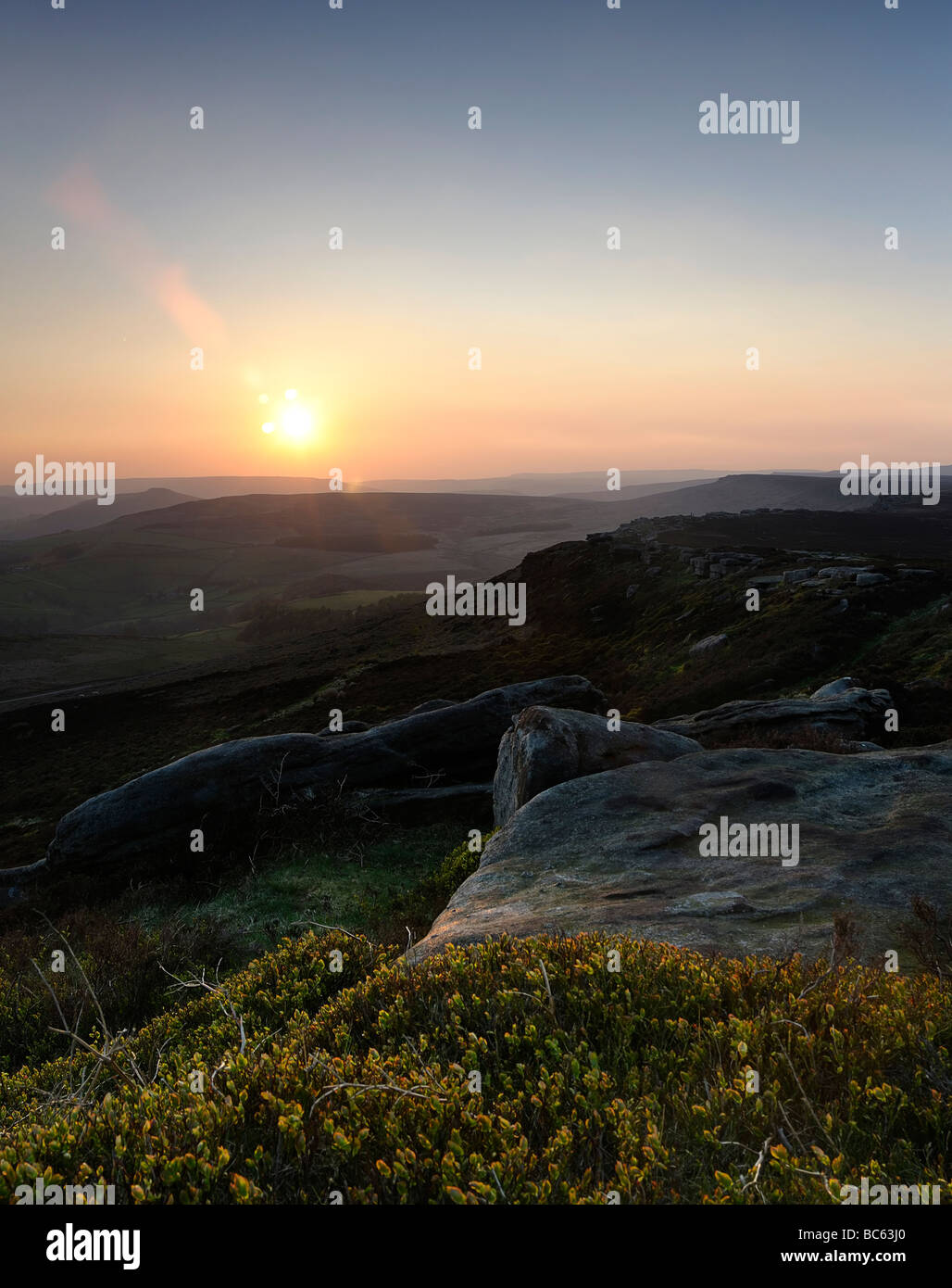 Bilberries uk hi-res stock photography and images - Alamy