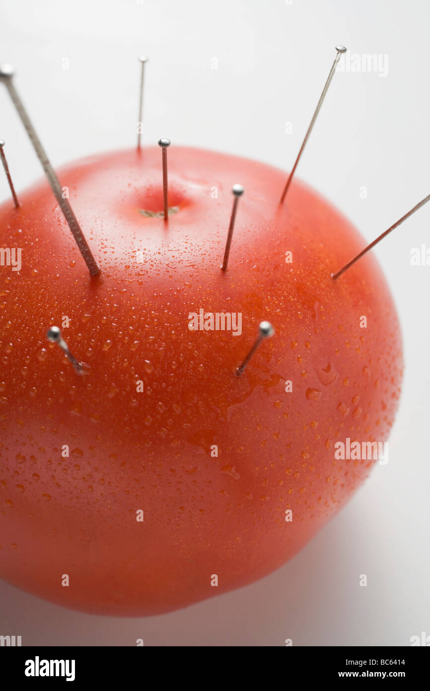 Pins stuck in a tomato Stock Photo - Alamy