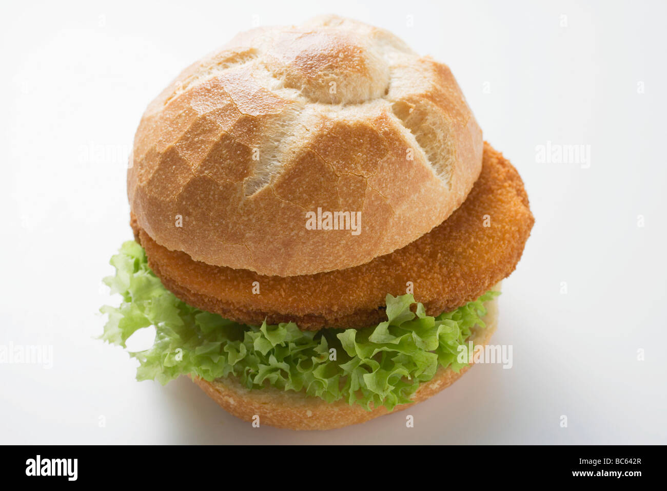 Schnitzel roll with lettuce Stock Photo - Alamy