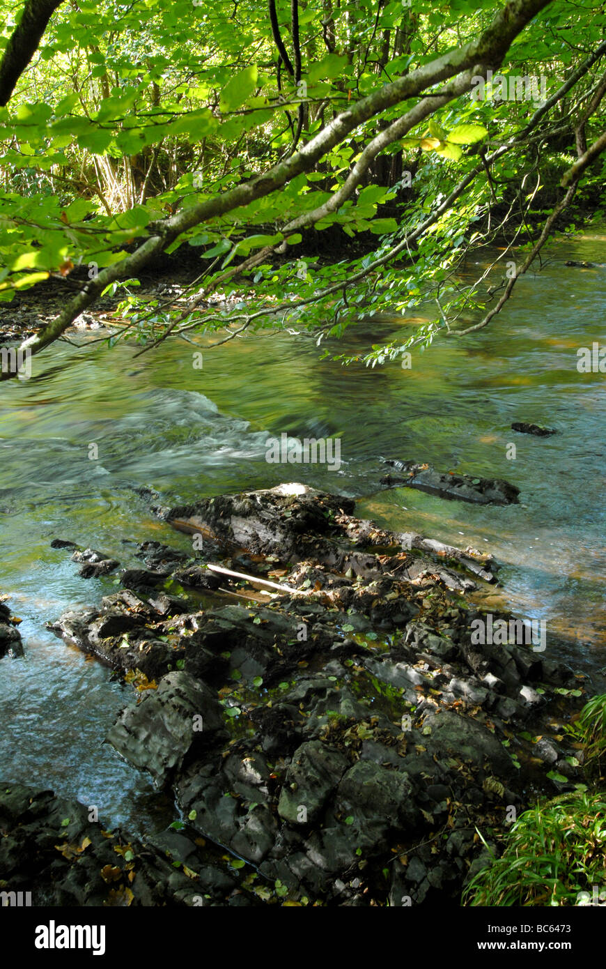 Banks of river teign hi-res stock photography and images - Alamy