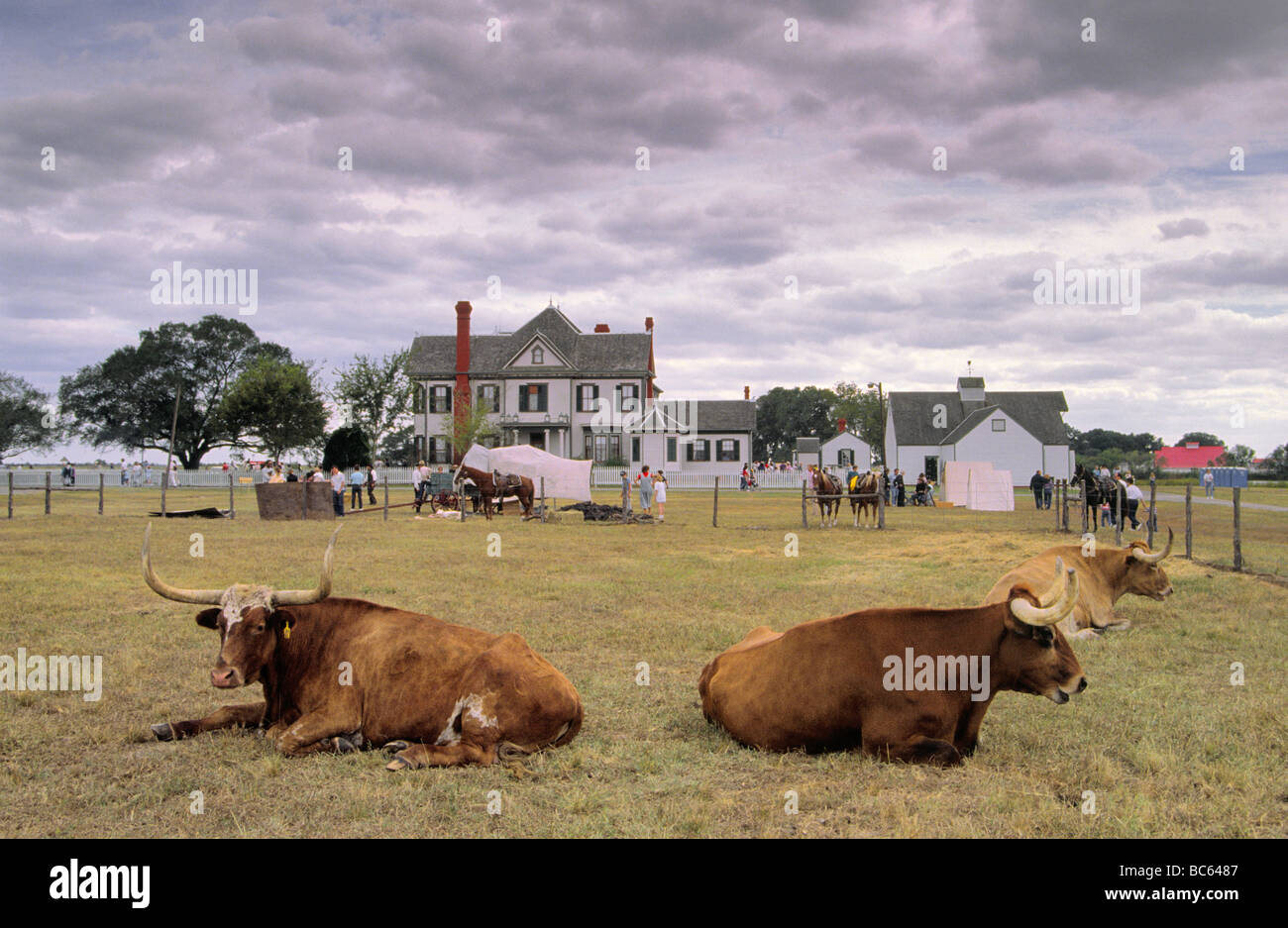 Texas Longhorns and Davis House during Texian Market Days at George ...
