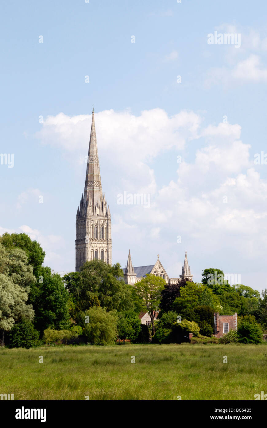 Salisbury cathedral water meadows hi-res stock photography and images ...