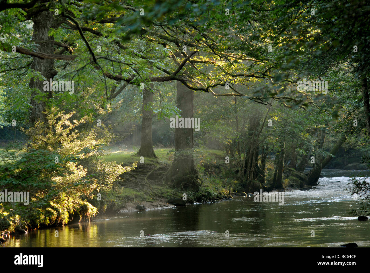 Banks of river teign hi-res stock photography and images - Alamy