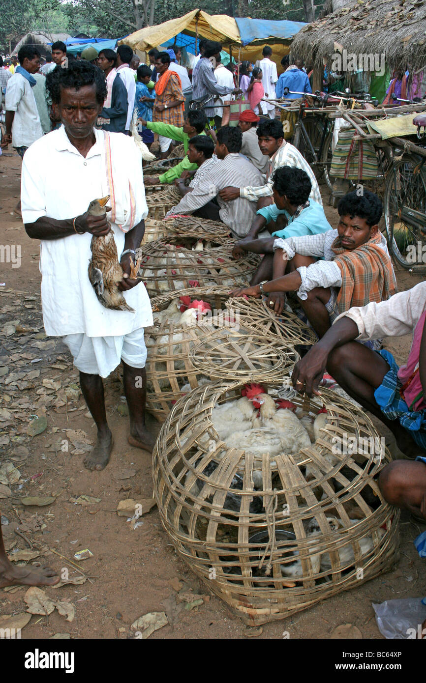 Indian Man Of The Dhuruba Tribe In The Chicken Market, Baipari Guda ...