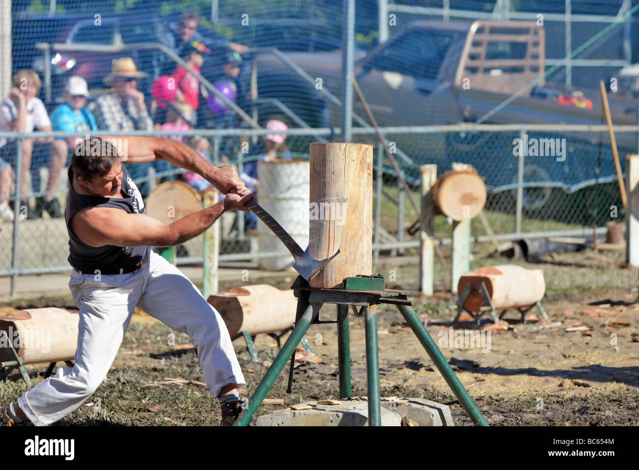 wood chopping competition with axemen in standing and upright ...