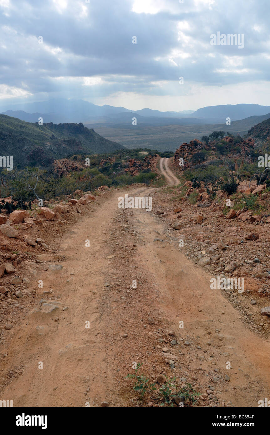 Socotra hi-res stock photography and images - Alamy