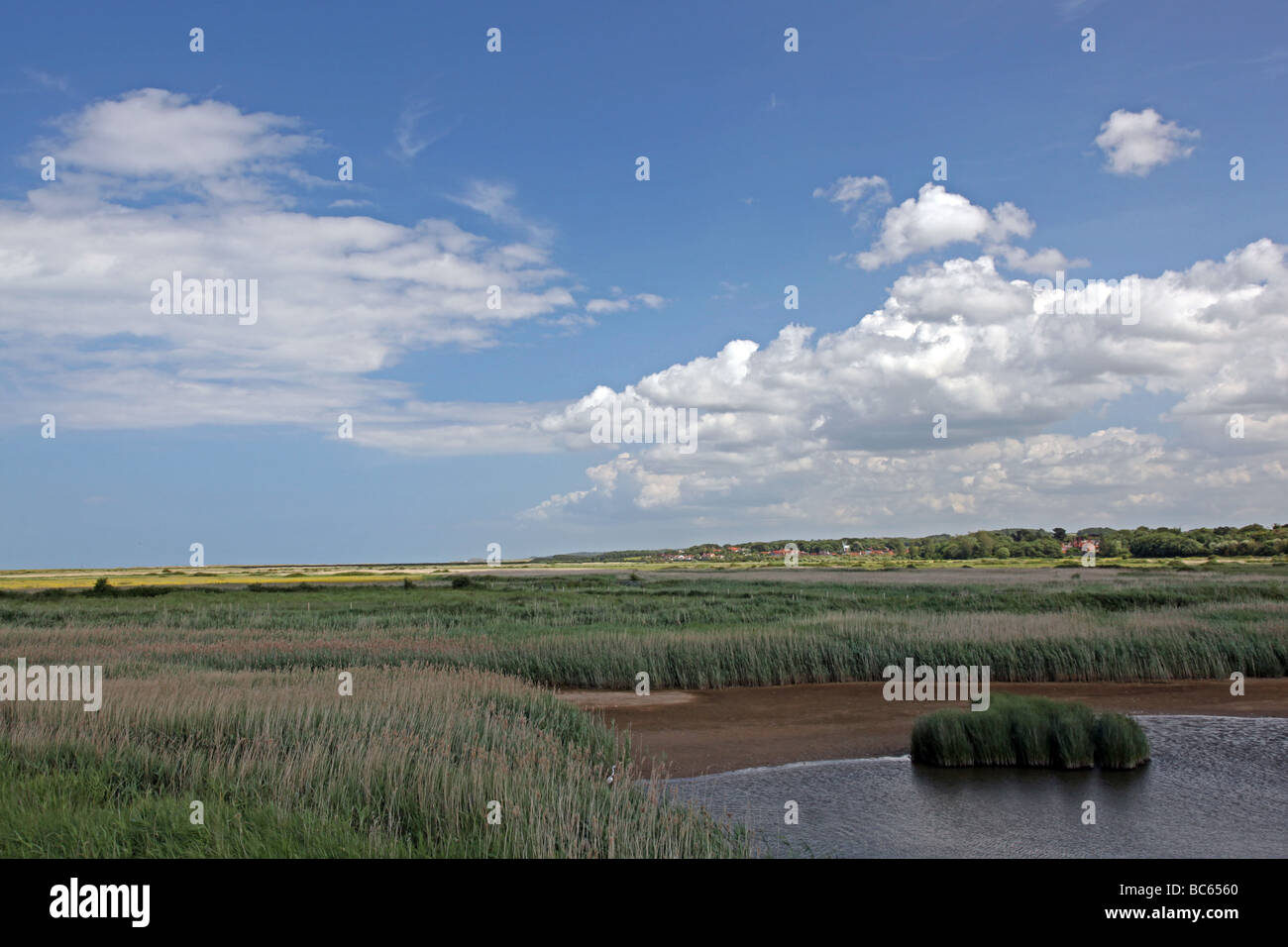 Marsh river hi-res stock photography and images - Alamy
