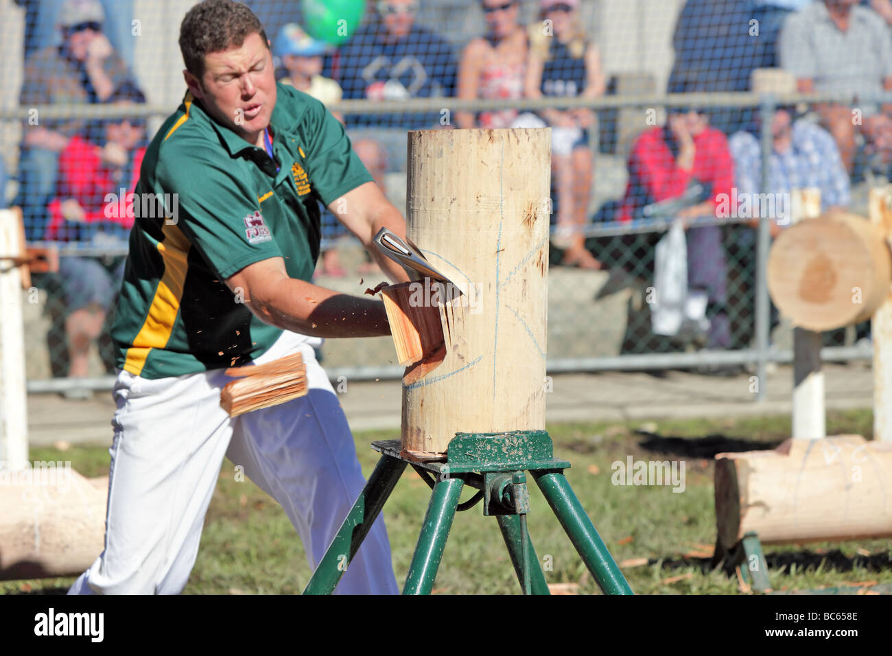 wood chopping competition with axemen in standing and upright ...