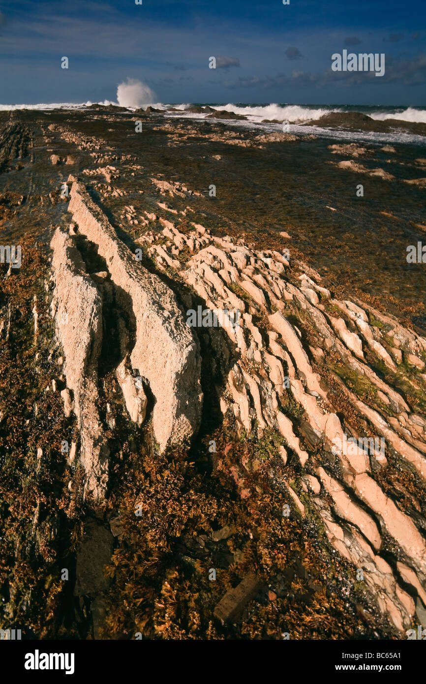 Green point gros morne national hi-res stock photography and images - Alamy