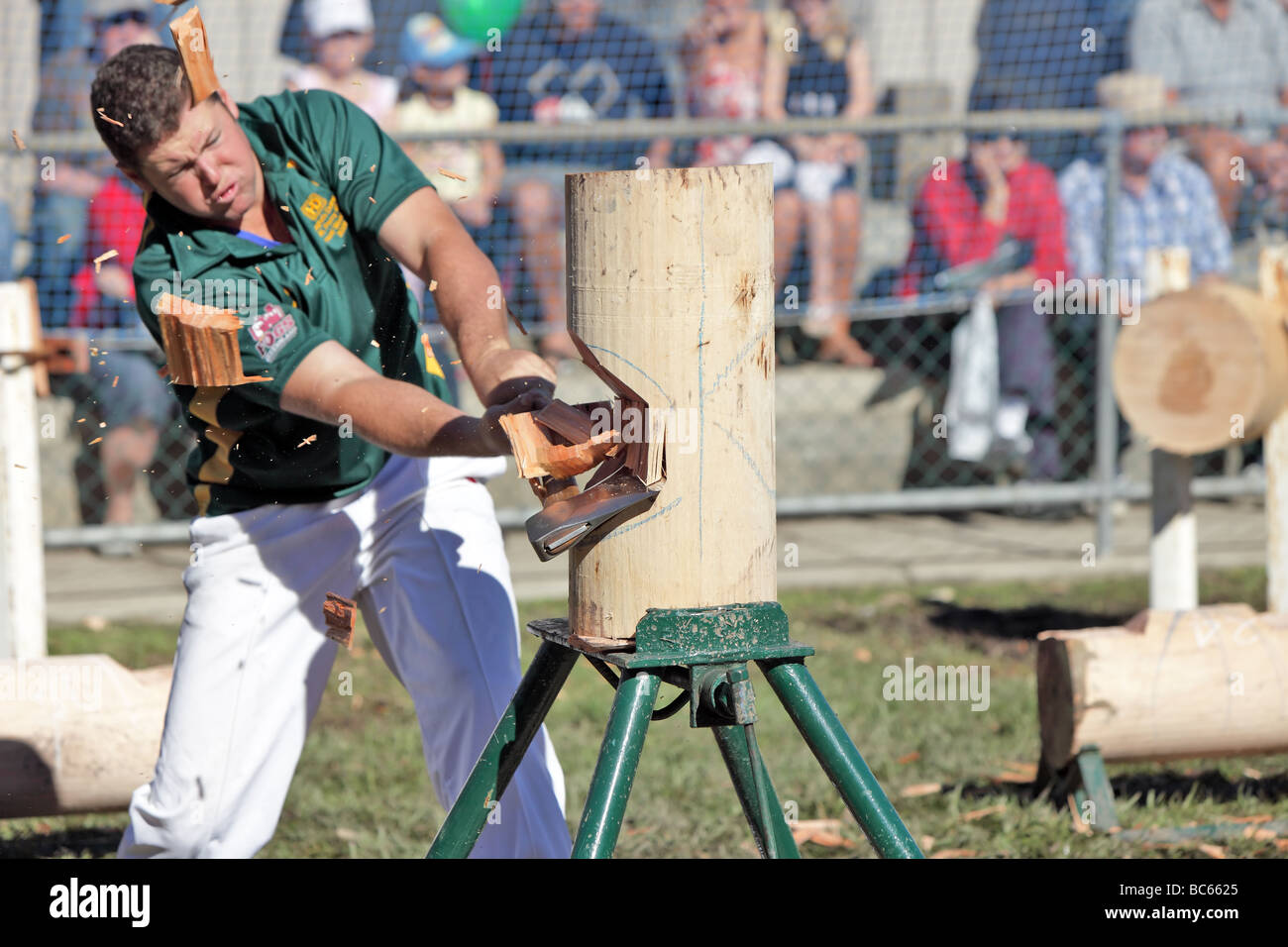 wood chopping competition with axemen in standing and upright ...