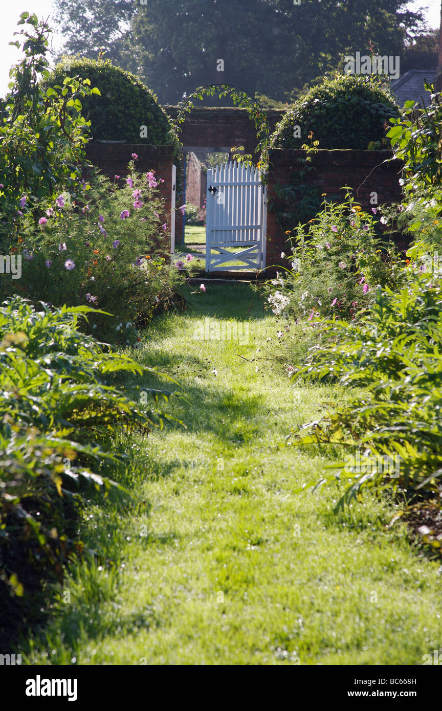 Grass path between borders towards white gate in clipped hedge in large ...