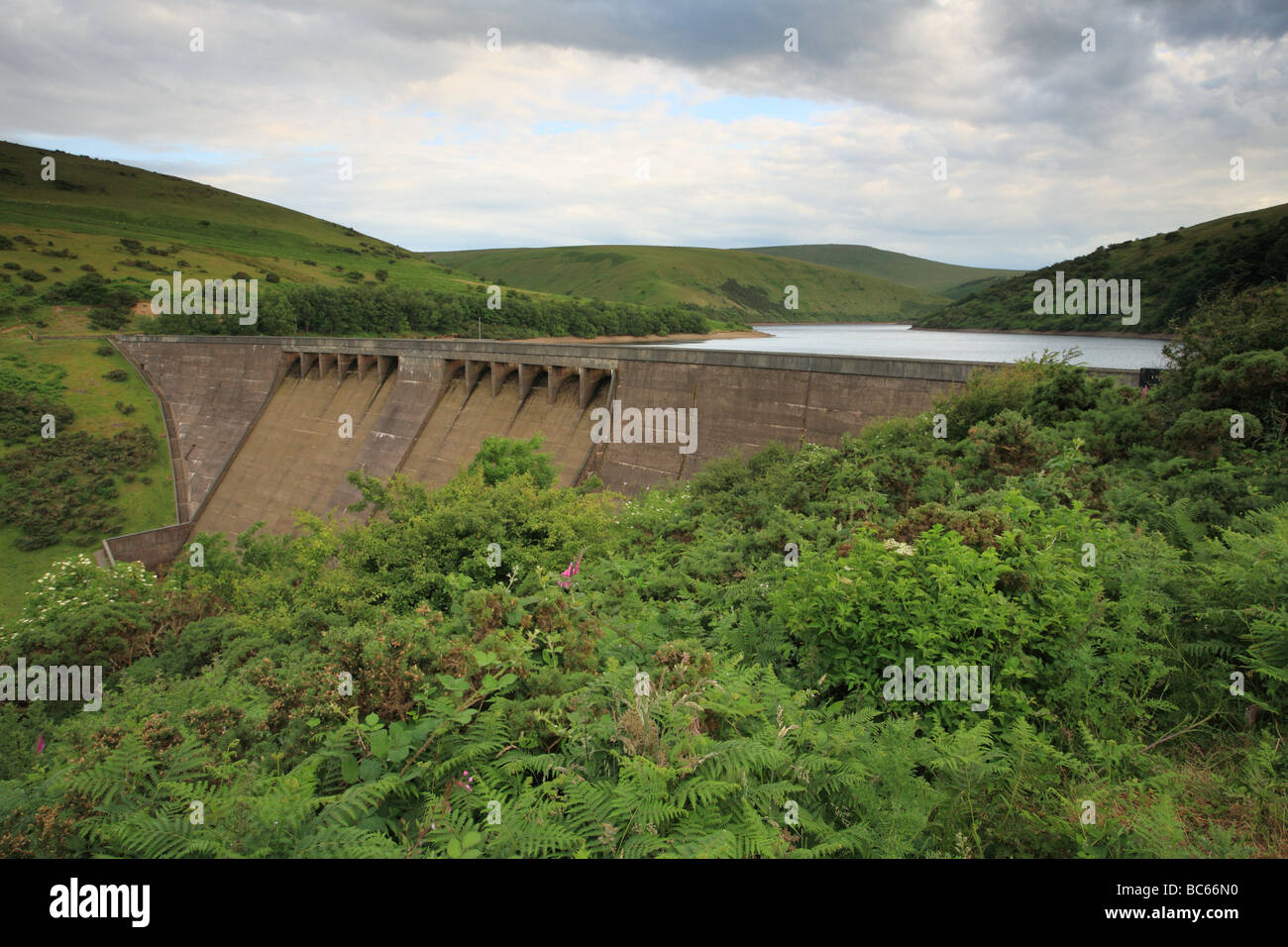 Meldon Reservoir near Okehampton, Dartmoor, Devon, England, UK Stock ...