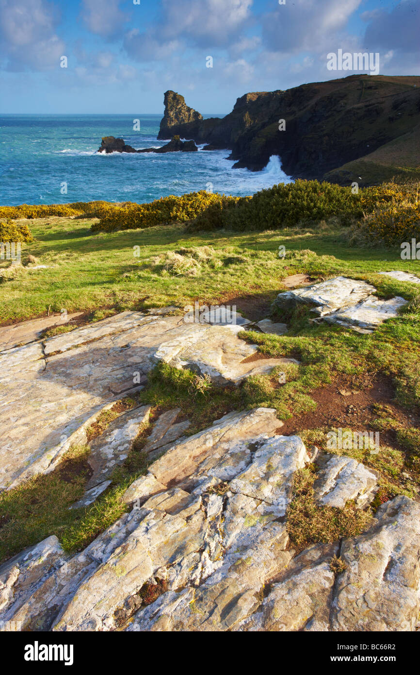The view from Bossiney Cliffs in North Cornwall Stock Photo - Alamy