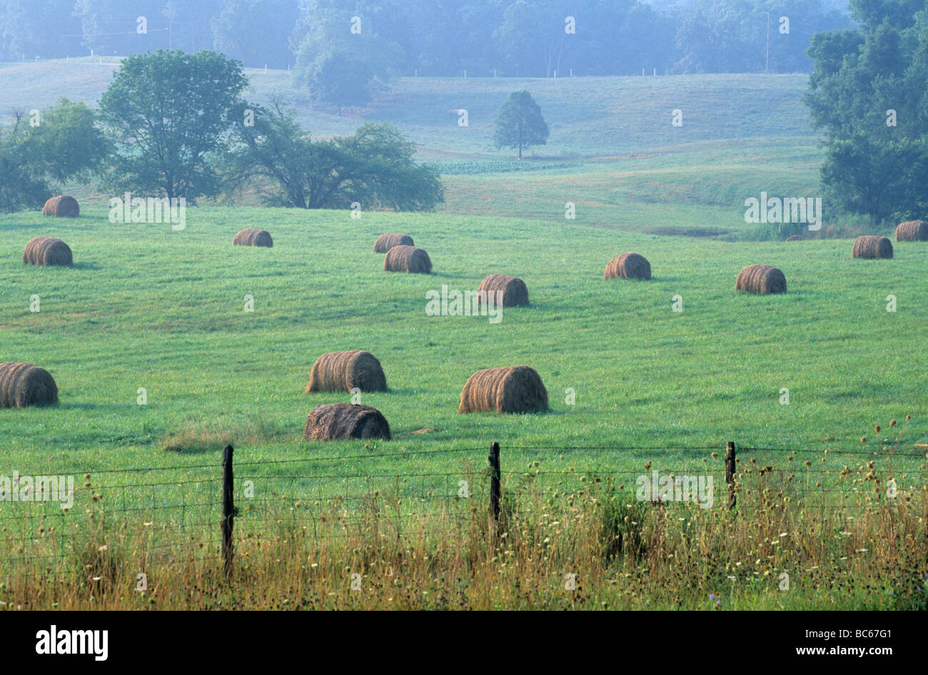 Morning Farm Scene With Rolled Hay Stock Photo - Alamy